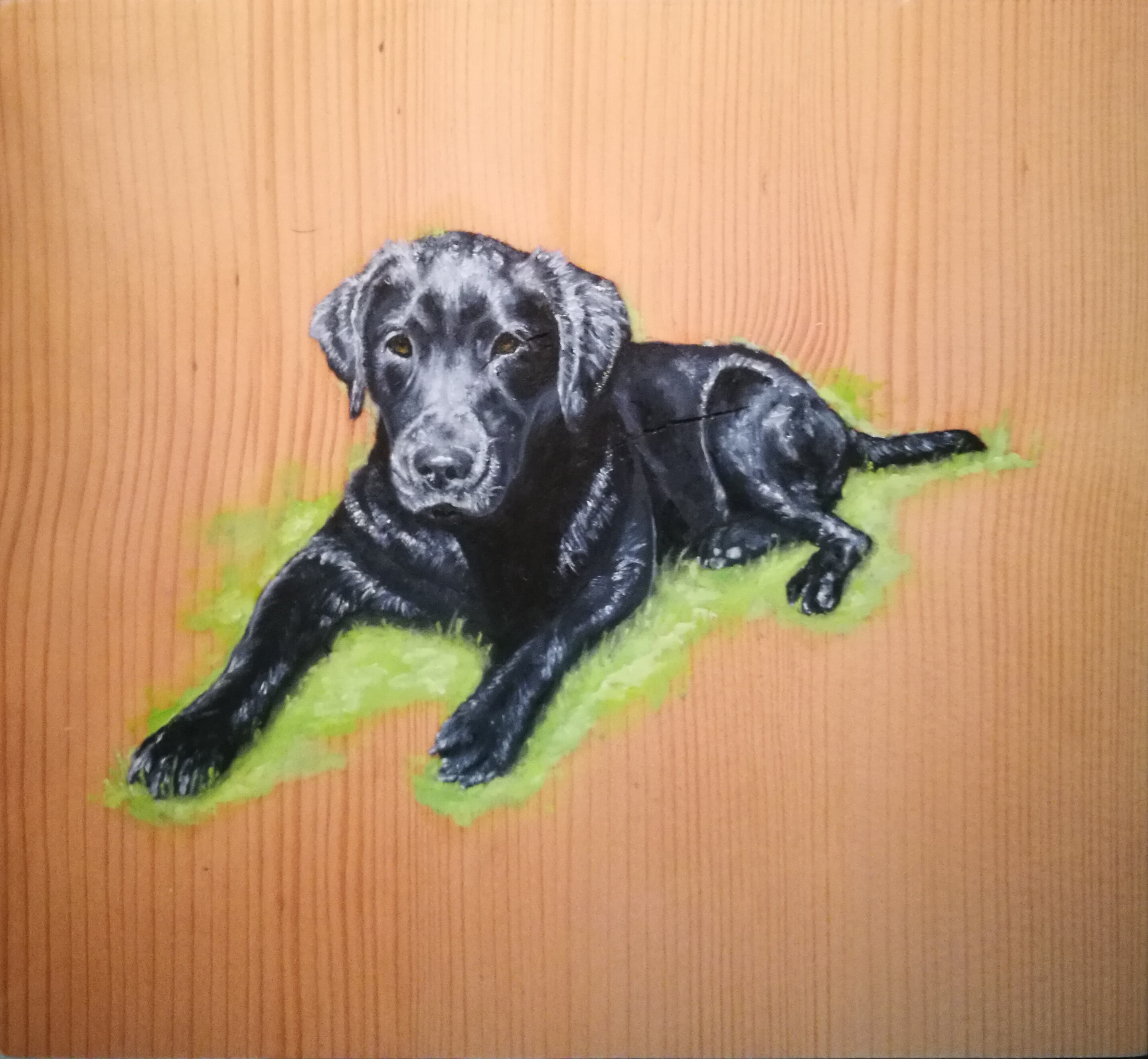 Commissions – NATHAN HAMMOND